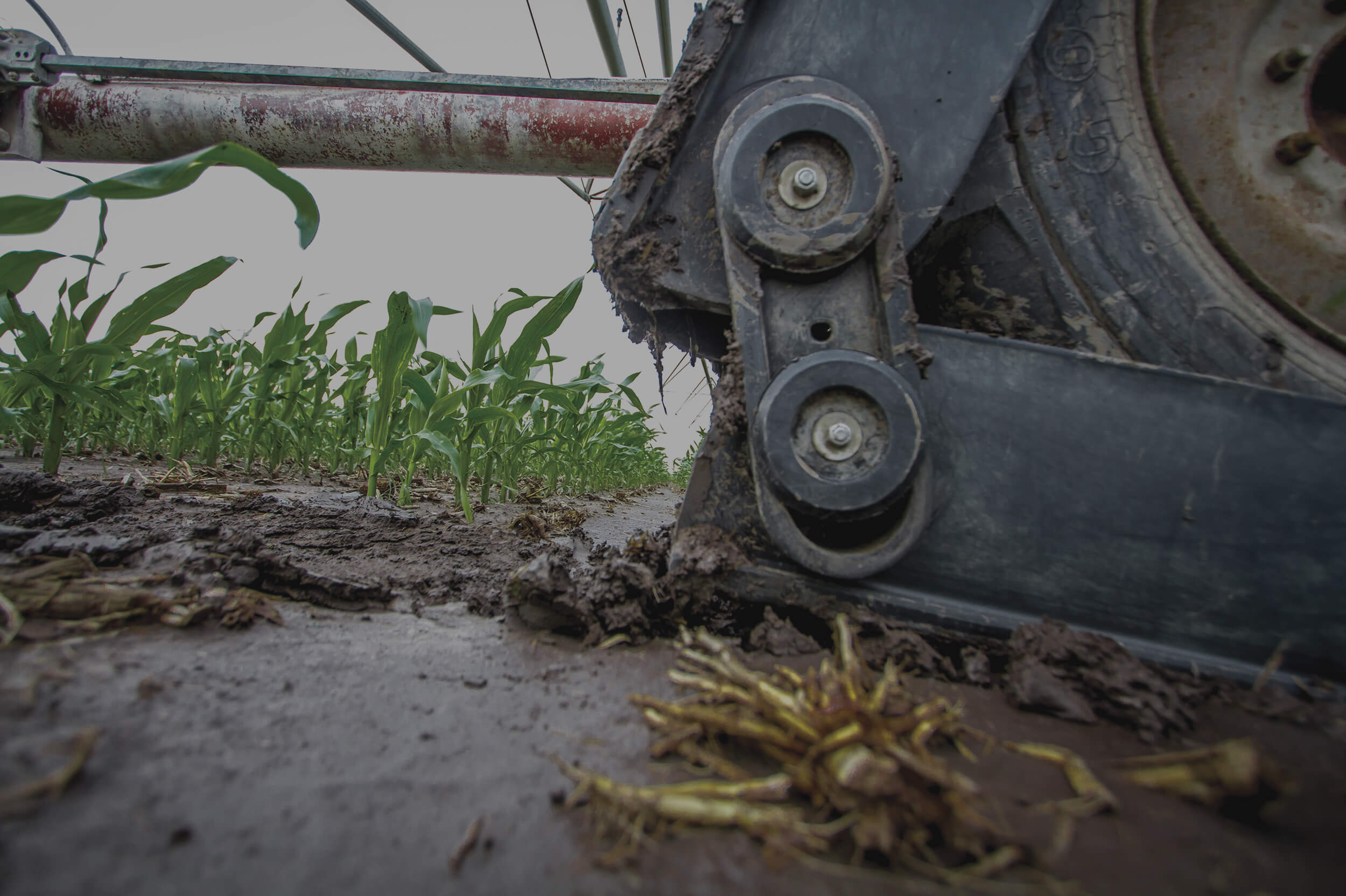 aboutheader-v2-for-web | Raaft by Polytech