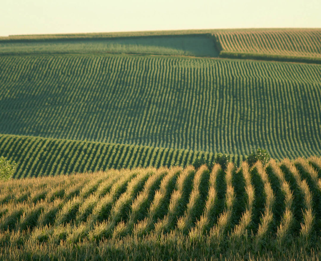 Raaft by Polytech | Keep Center Pivots from Getting Stuck