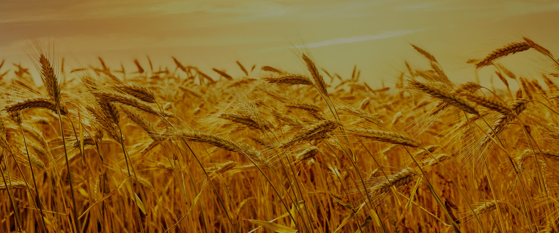 raaft-header-1004 | Raaft by Polytech